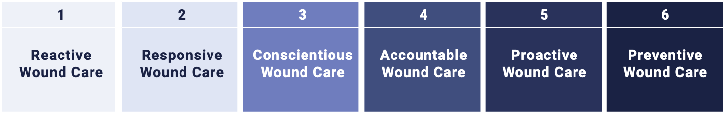 The Digital Wound Care Maturity Model for All Care Settings